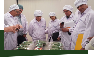 Mission vision and values – Joytech PLC | Quality Fresh Herbs, Niche ...